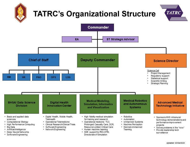 Medical Business Organizational Chart